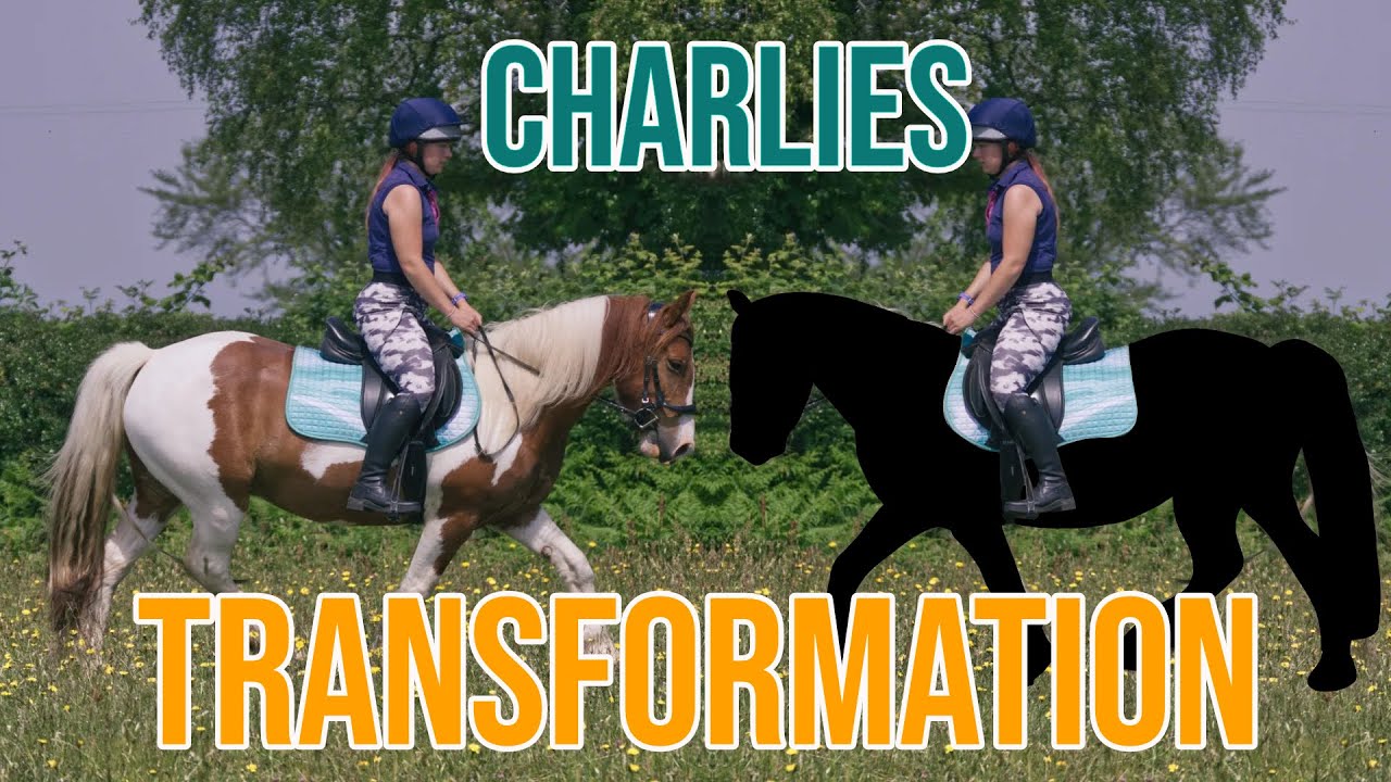 HORSE HAIR CUT TIME || CHARLIE'S HAD A MAKEOVER || HORSE MAKEOVER VLOG ...