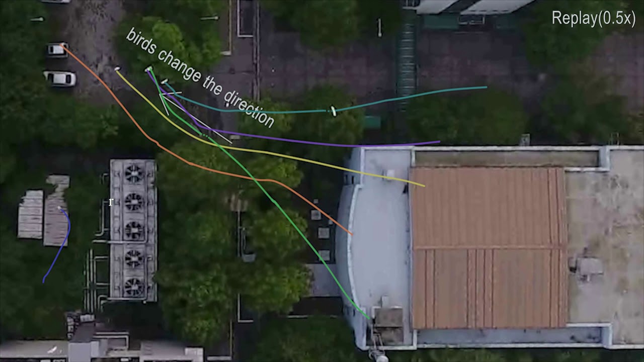 Robotic Herding of a Flock of Birds Using Drones - YouTube