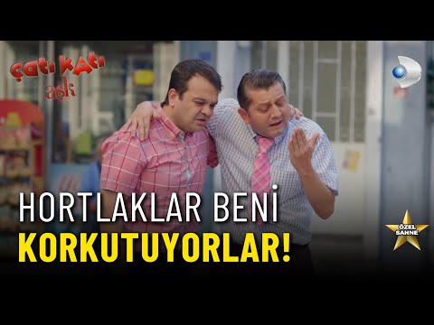 Muhsin ve Şuayip Kafa Kafaya Verdi! - Çatı Katı Aşk Özel Klip