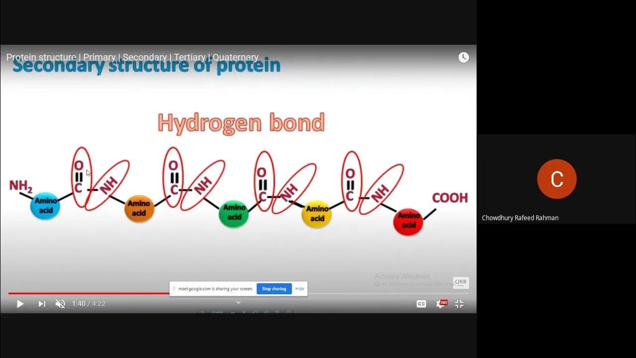 Lecture 3 - Introduction to Bioinformatics (CSE 4893) [Chowdury Rafeed Rahman] - YouTube