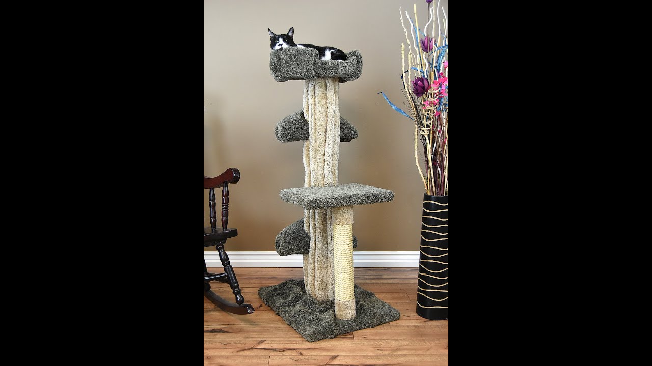 Prestige Cat Trees Unique Cat Play Tree - YouTube