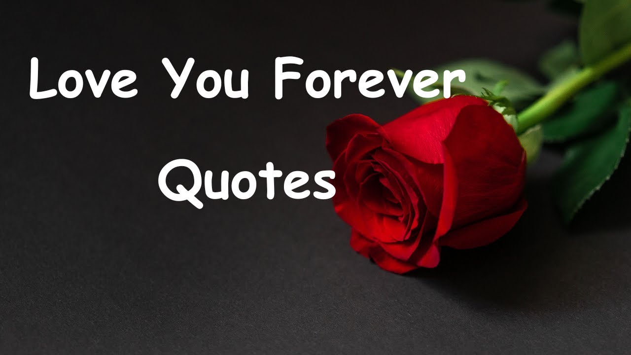 Love Quotes For Someone Special || Love You Forever Quotes - YouTube