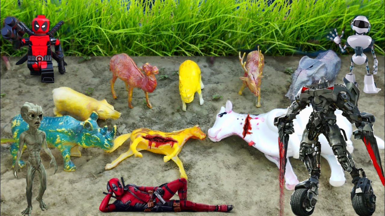 Wadidau‼️ Potong Sapi Qurbani | Sapi, Gajah, Kerbau, Domba, Kuda, Unta ...