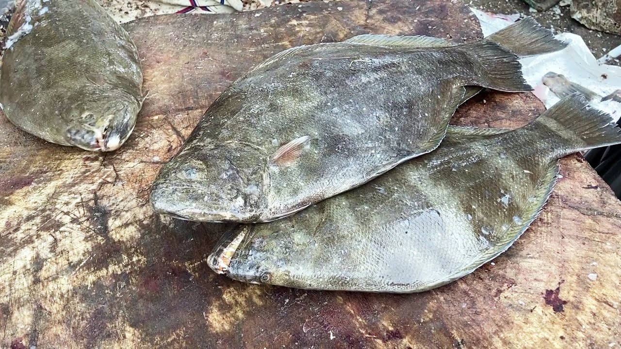 4 Fish 1400 Rs/19$ Tasty Naaku Fish Cutting & Chopping in Kasimedu Fish ...