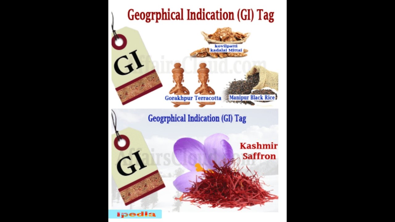 GI Tag(Geographical Indication tag) - YouTube