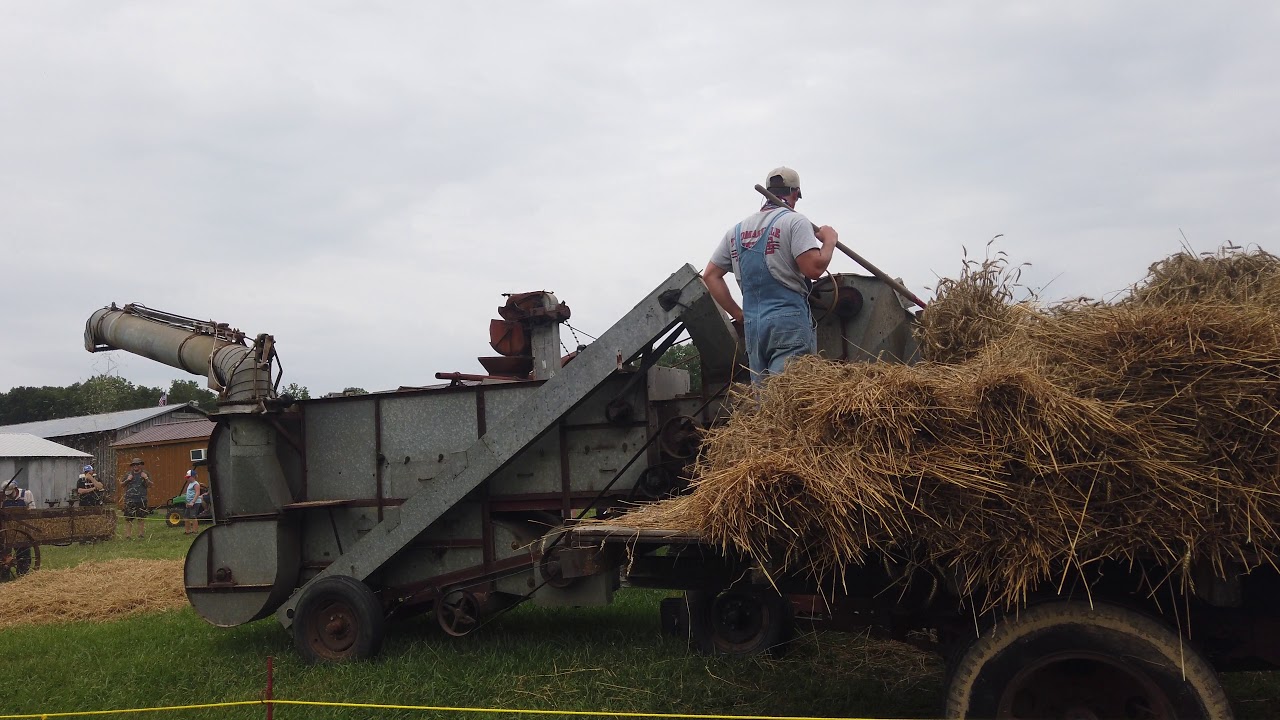 Wheat Threshing At The 50th Old Threshers Reunion At Denton FarmPark 4K ...