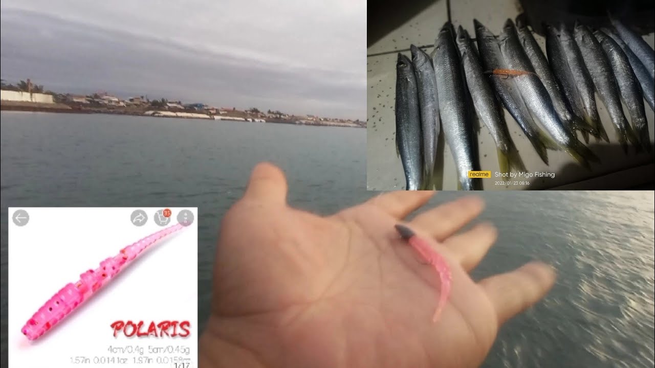 2k22v2 tabangko Gaming /Bearking Polaris 5cm/Catch And Cook - YouTube