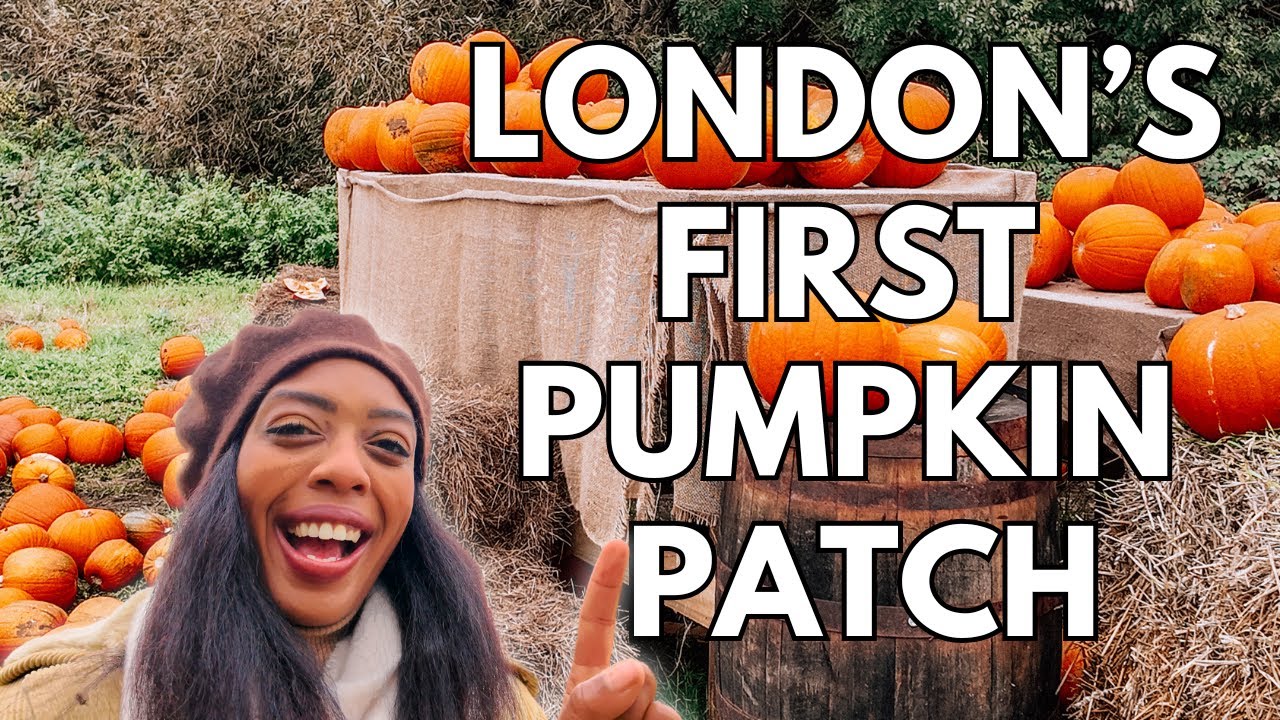 LONDON'S FIRST PUMPKIN PATCH 🎃🍂 | Hobbledown Heath - YouTube