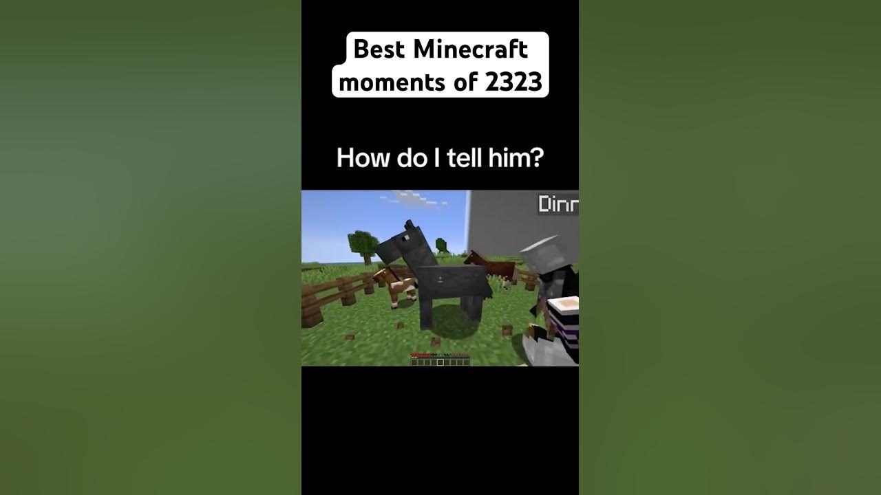 Best Minecraft Moments of 2323 - YouTube