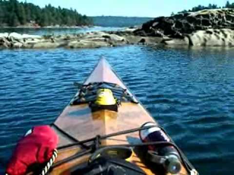 Pygmy Coho Ravings - YouTube