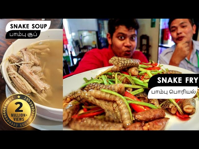 Snake Dishes