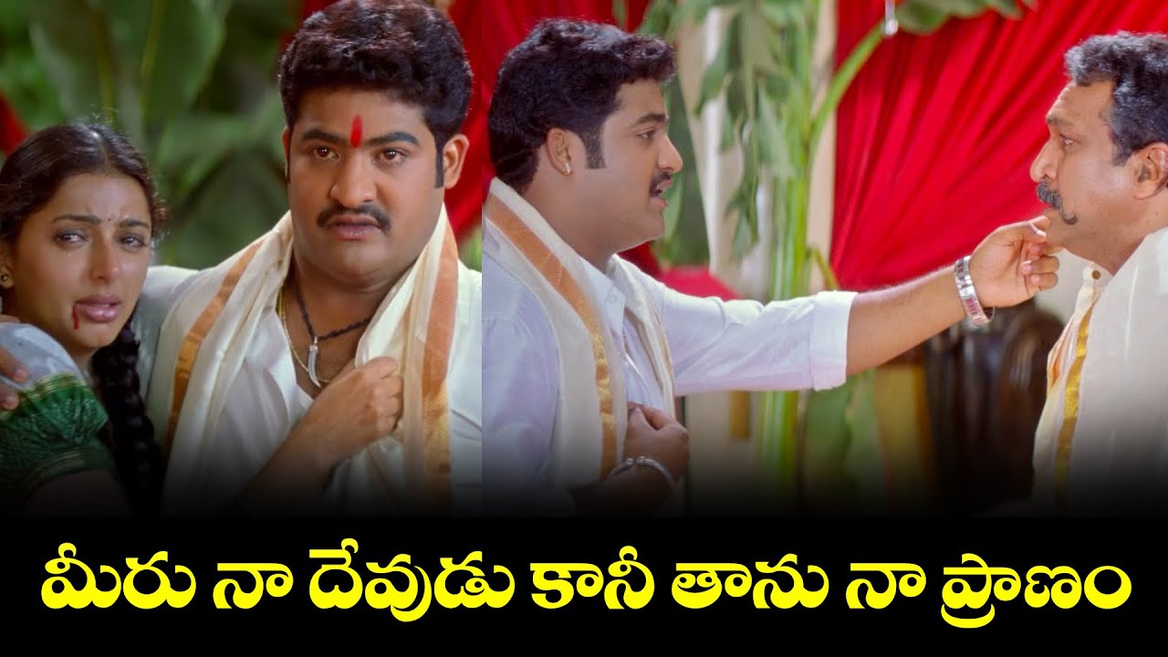 మీరు నా దేవుడు కానీ తాను నా ప్రాణం | NTR | Bhumika Chawla | Simhadri ...
