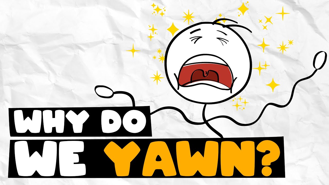 Why Do We Yawn? 😴💥 | Is It Boredom or Something Weird? # ...