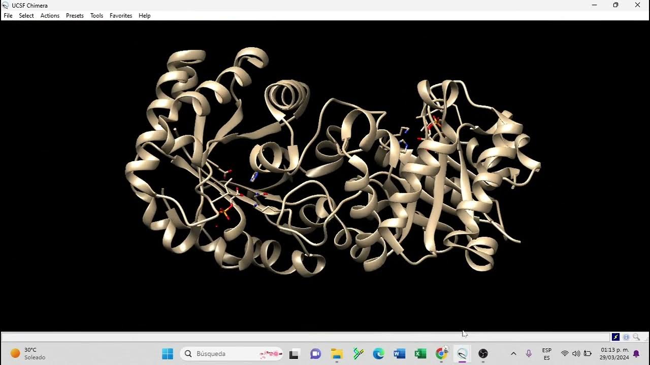 Visualizando proteínas con UCSF Chimera - Parte 2 - YouTube