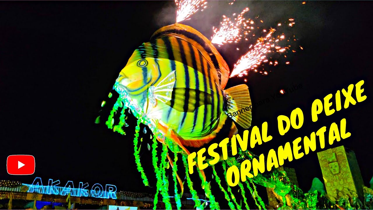 Festival do Peixe Ornamental - FESPOB 23 - Barcelos-Amazonas PT 2 - YouTube