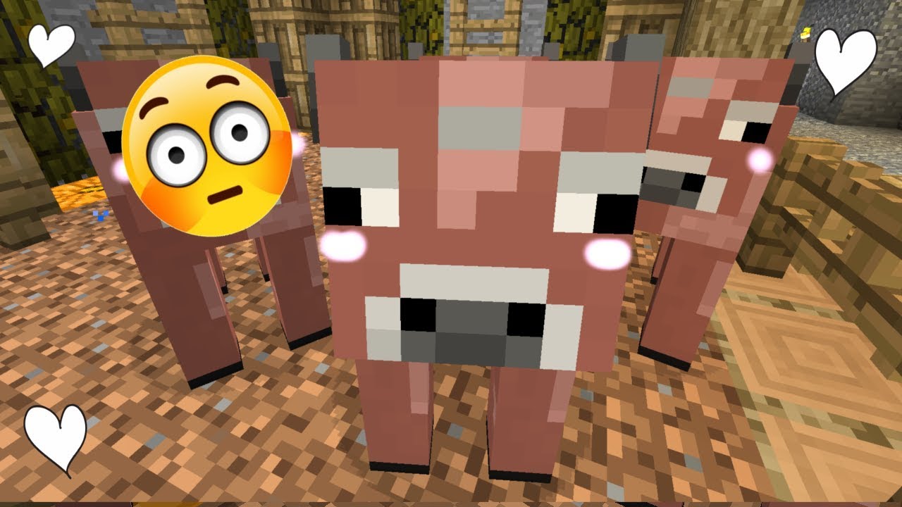 Exposed! 🐮 | Animal Land Minecraft - YouTube