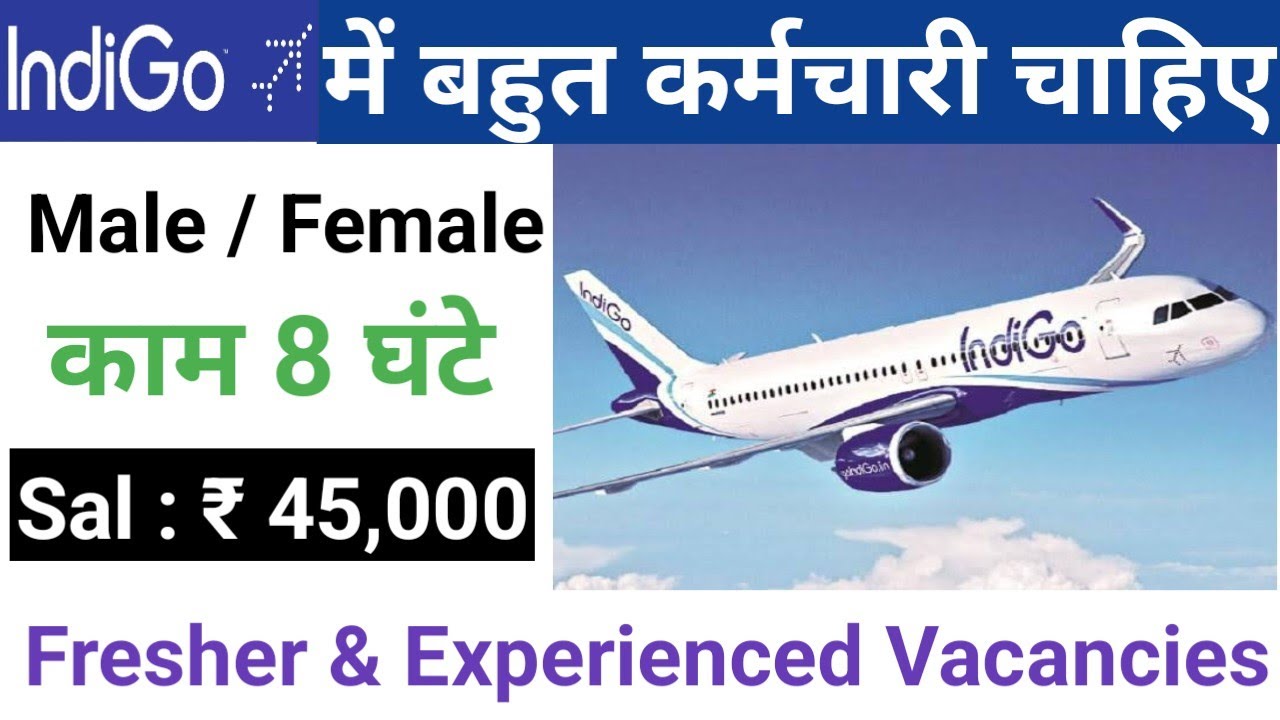 Indigo Fresher & Exp. Vacancies in 2024 I Cargo Jobs I Engineering Jobs ...