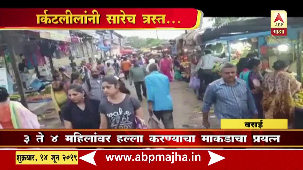 Vasai | Monkey Hungama in Vegetable Market - YouTube