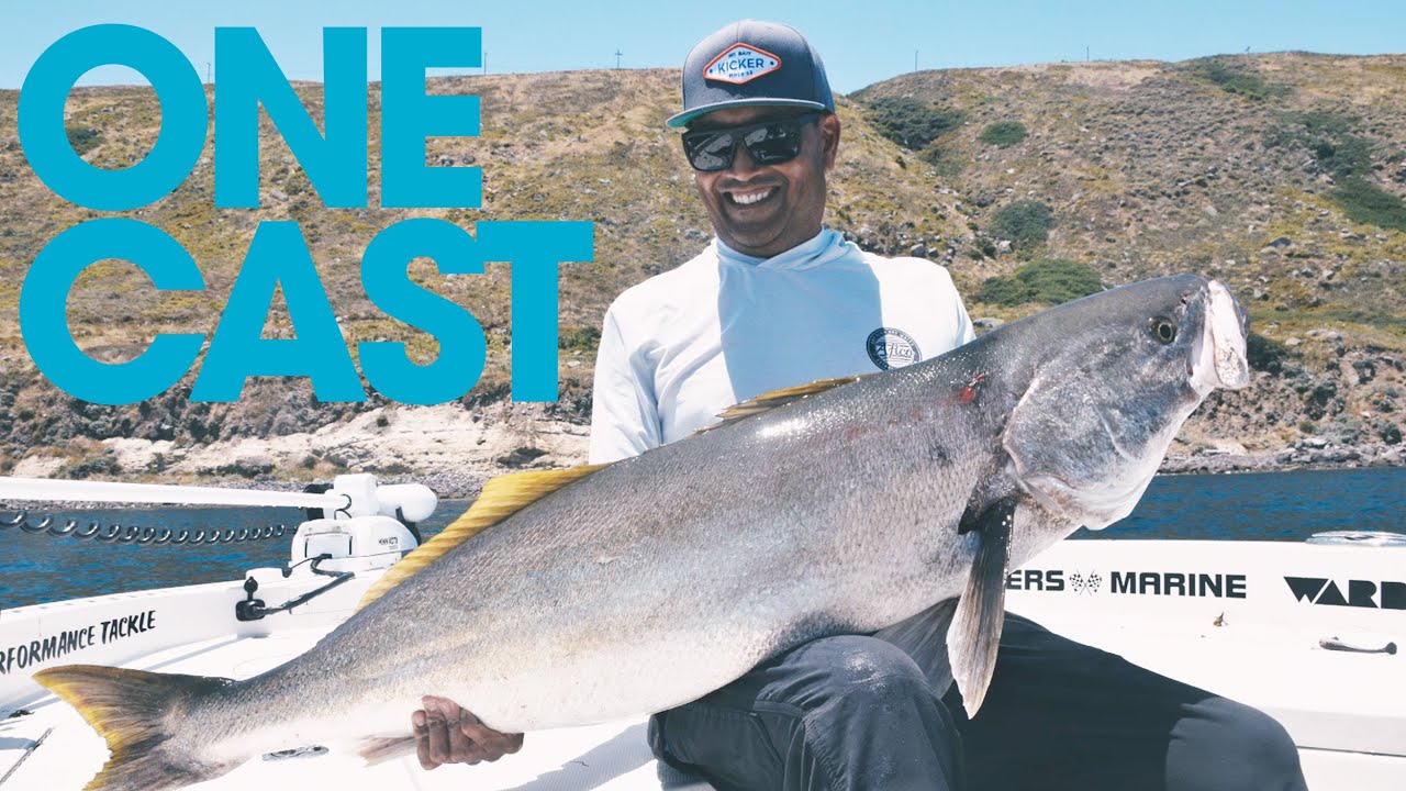 BIG WHITE SEA BASS | War/Rig WSB | ONE CAST SERIES - YouTube