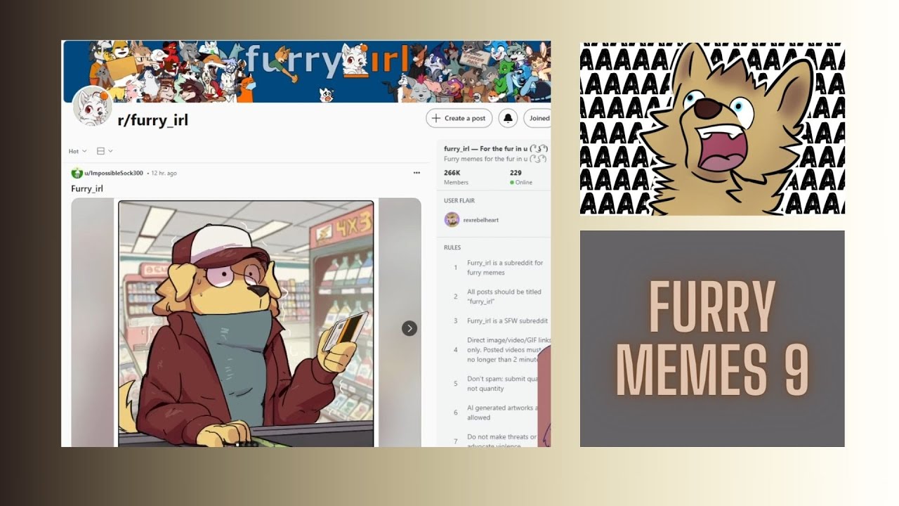 Furry Fandom Fun: Memes 9 - FIXED AUDIO YEAH - YouTube