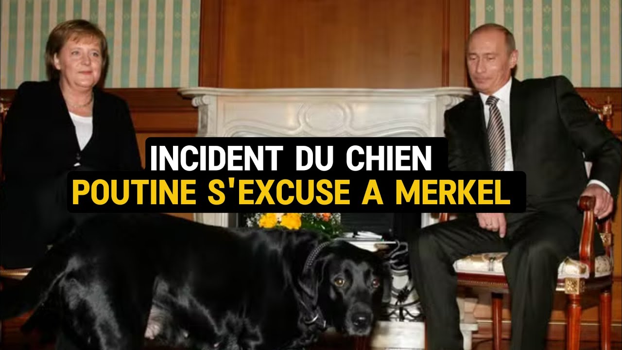 Poutine s'excuse auprès de Angela Merkel après l'incident de 2007 avec ...