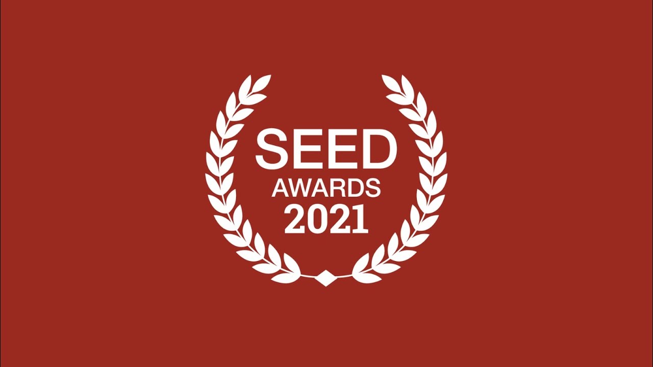 Meet the SEED Awards 2021 Winners - YouTube
