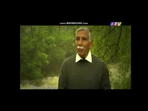 Zəlimxan Yaqub - bir dizə çırpsa beş başa çırpar