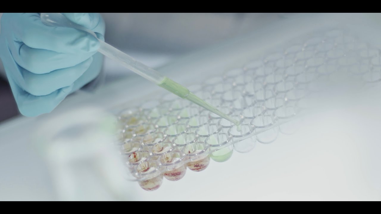Allergy Research Group | A Heritage of Innovative Products - YouTube