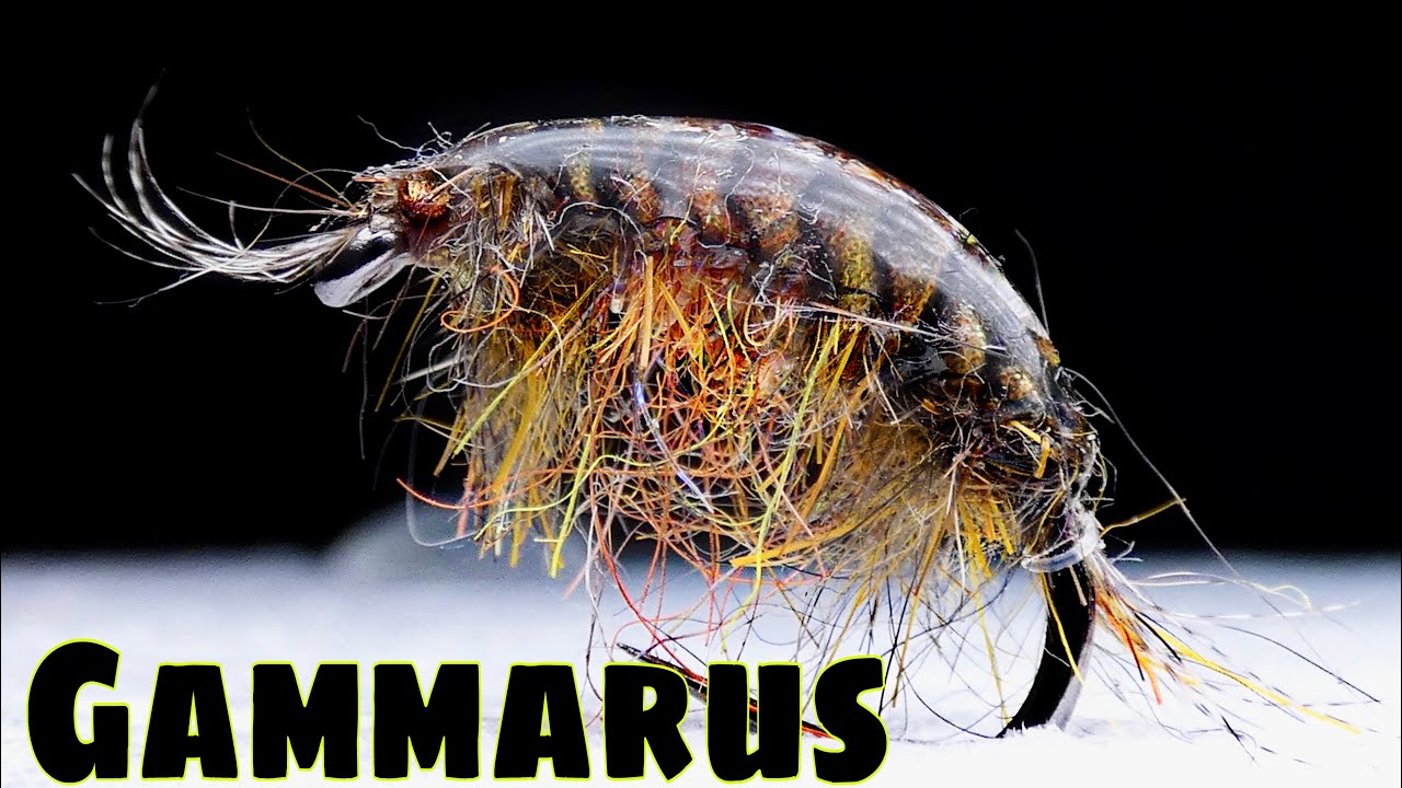 Fly tying GAMMARUS by Jorge G. Huertes - YouTube