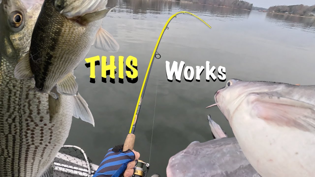 Savage Bait Ball Action!! Rod/Reel Overboard! (Dec) LKN - YouTube