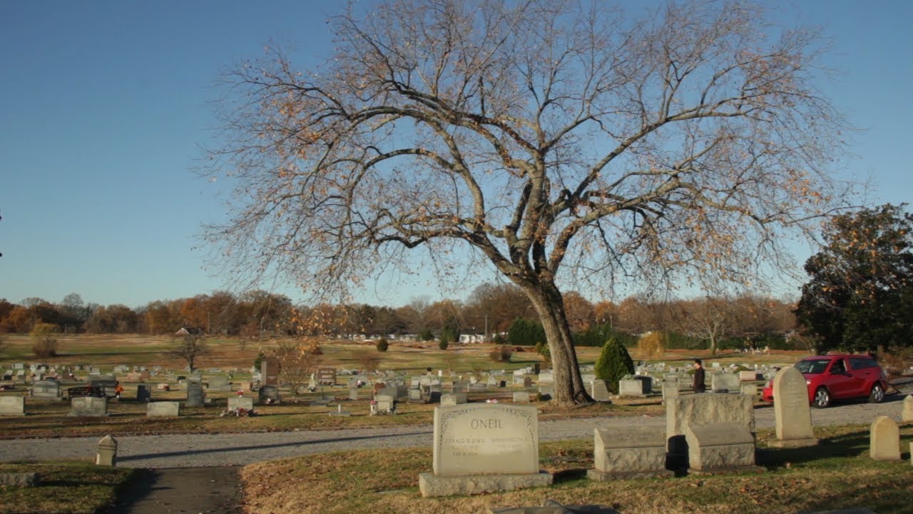 REframe Trailer #1 - YouTube