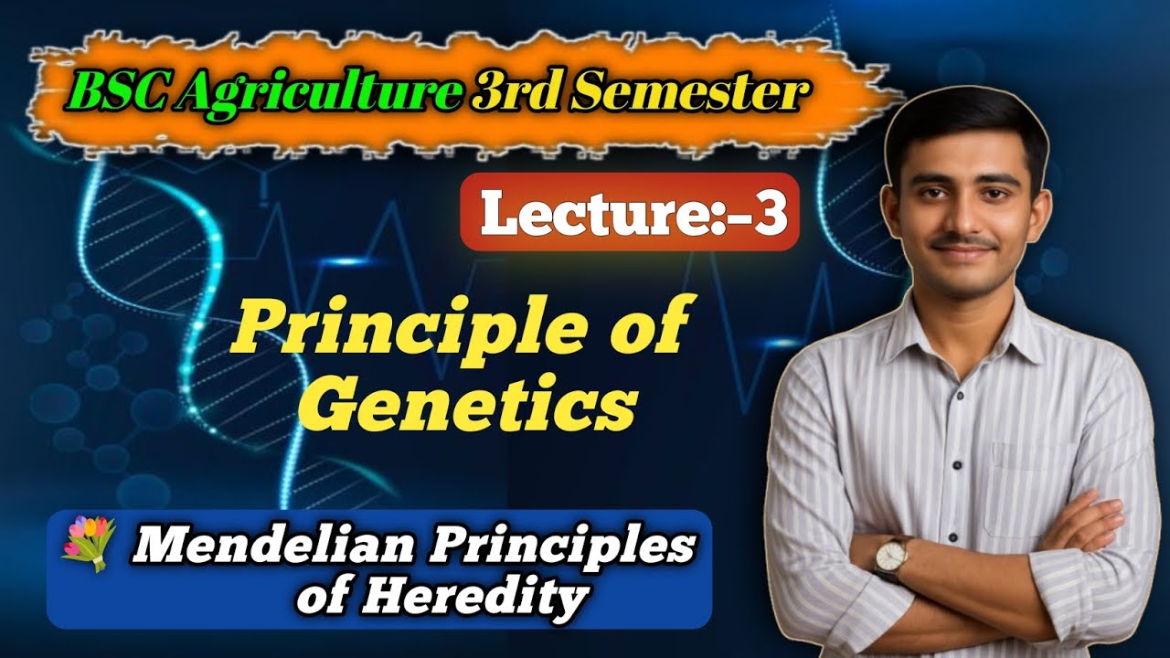 Mendel’s Principles of Heredity part -3 | Principle of Genetics ...