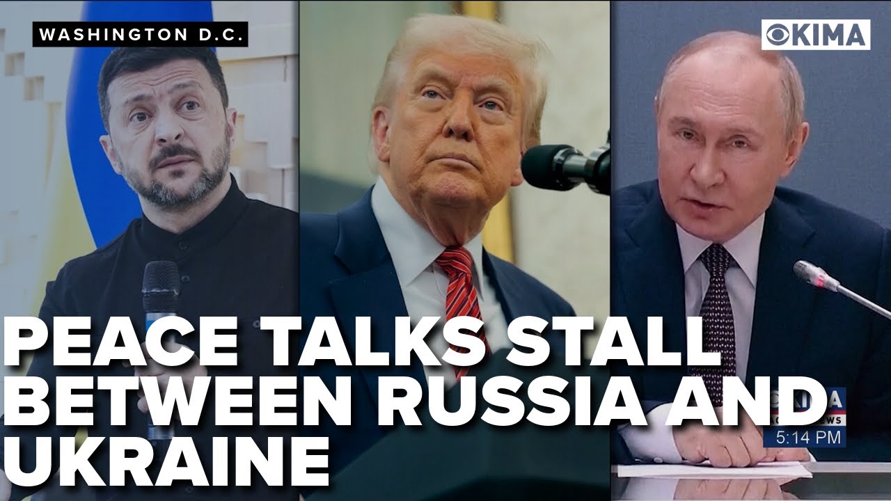 Russia-Ukraine Peace Talks Stall, Trump gets back to talking with both ...