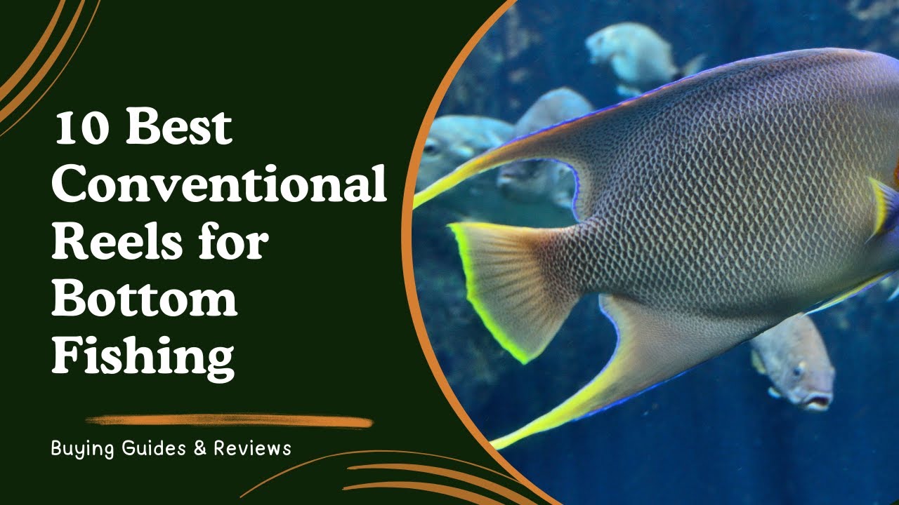 Top 10 Best Conventional Reels for Bottom Fishing - YouTube