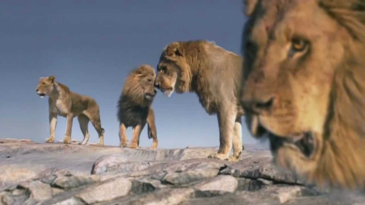 Pride Ending + Credits - YouTube