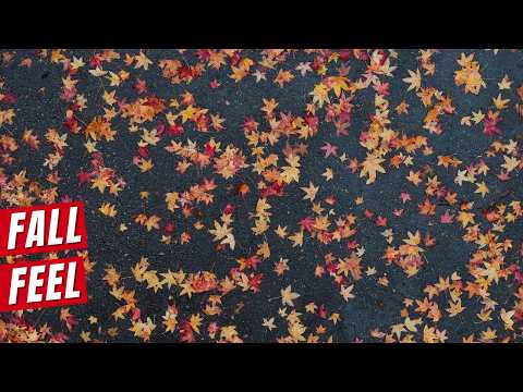 Fall Is Coming Early for Millions Across the US