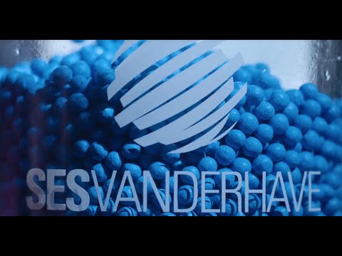 SESVANDERHAVE English language - YouTube