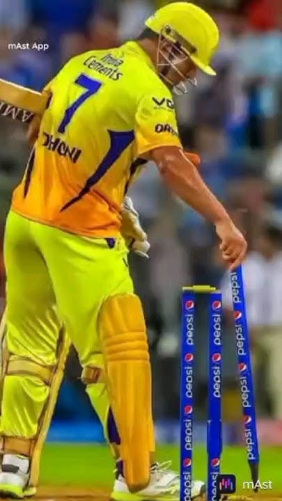 MS dhoni Lion status csk 💛💛💛💛💟💟💟💟 #cricket - YouTube