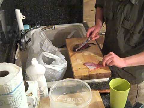 How To Fillet A Fish - Bluegill - YouTube