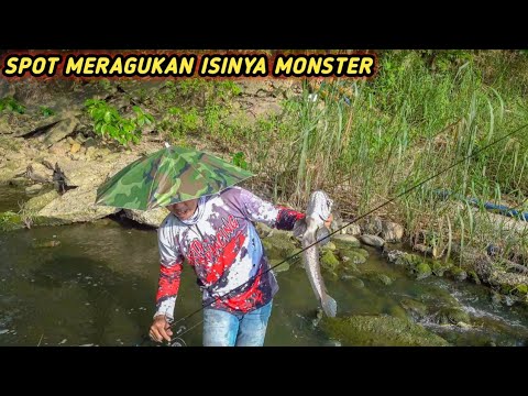 DiHEBOHkan Predator Pemakan Daging Mancing ikan besar di sungai ini ragu awalnya - YouTube