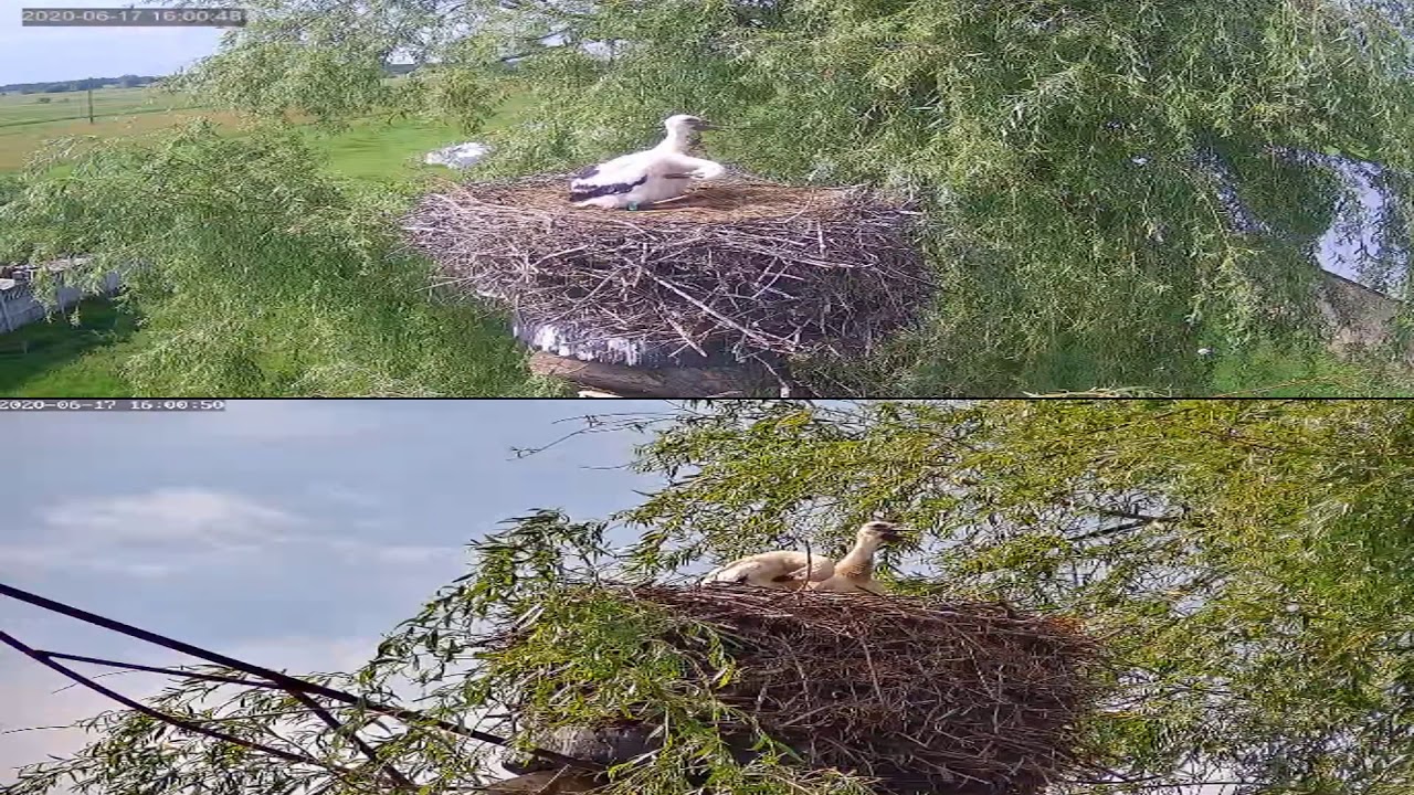 Marysia i Zdzicho.....Gwiazdy dwóch kamer :D - YouTube