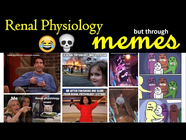 Human Physiology Memes 36 Physiology And Anatomy Jokes Ideas | Science