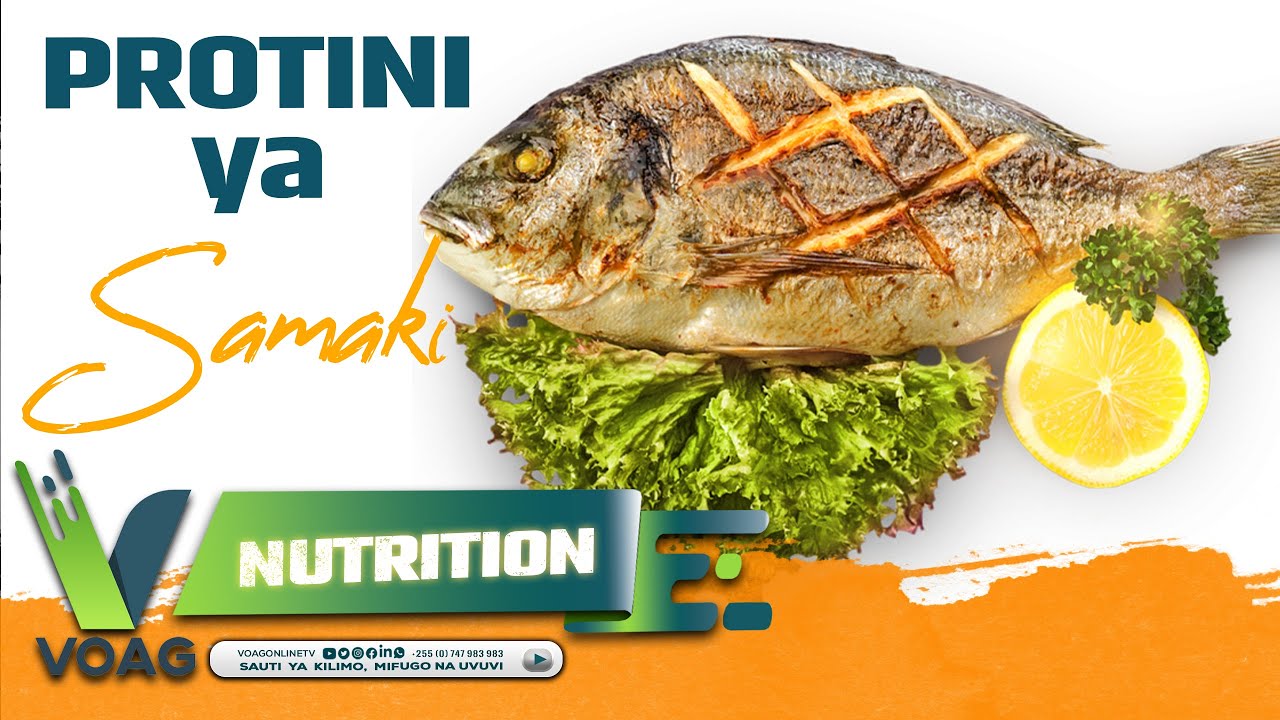 NUTRITION: EP 20 | PROTINI ZA SAMAKI - YouTube
