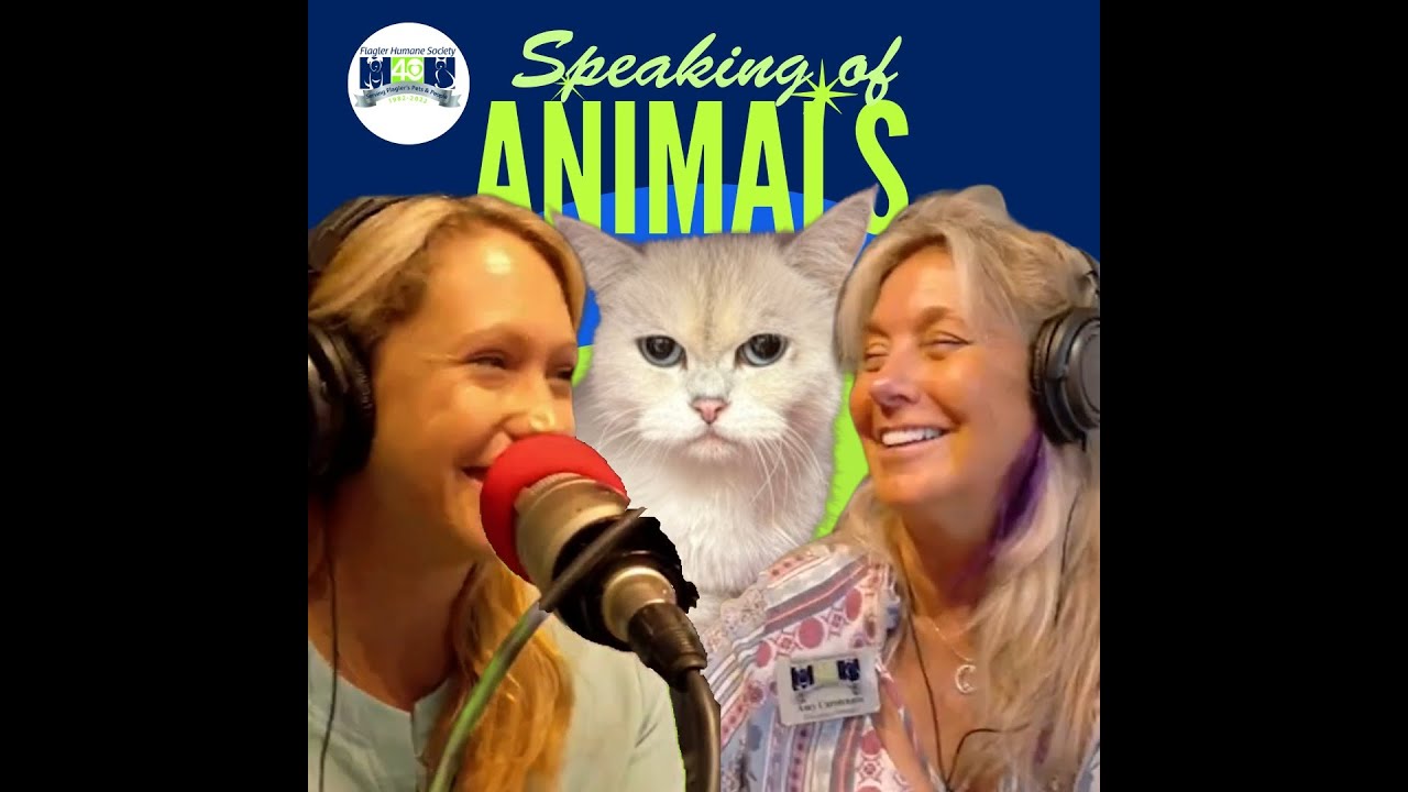 Speaking Of Animals 090625 - YouTube