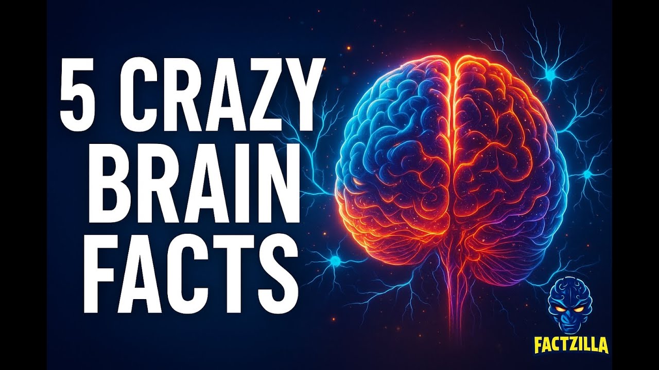 5 Crazy Brain Facts That Will Blow Your Mind! 🧠⚡ - YouTube