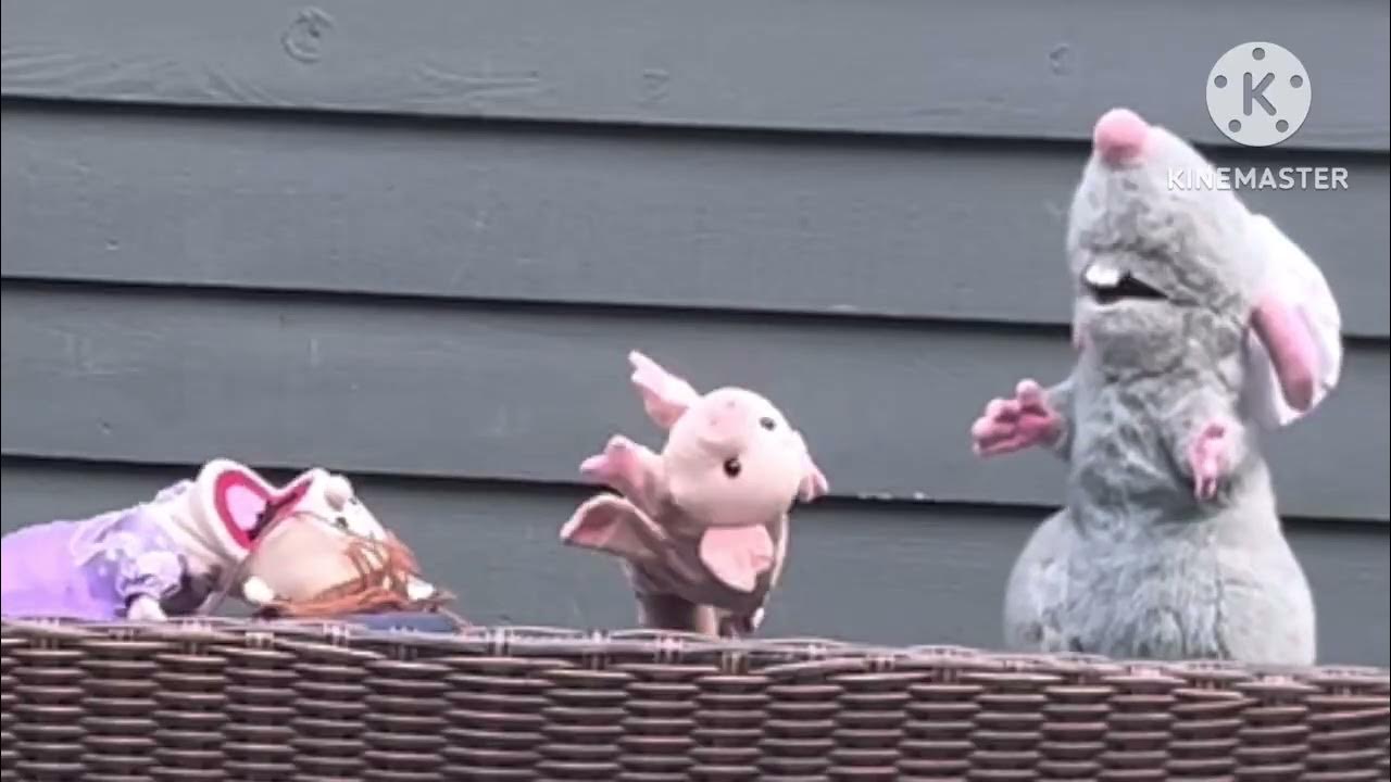 CC Cycle 1 Week 1-2, 13-14 Latin: Noun Cases Song/Chant - YouTube