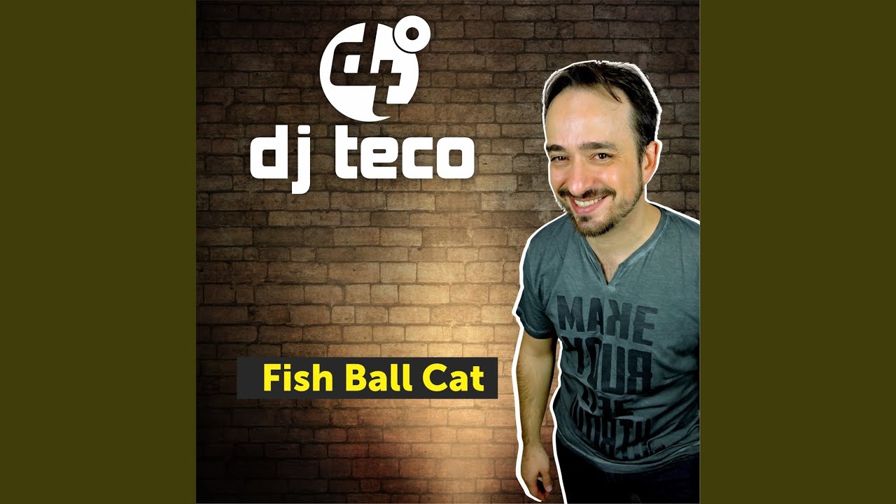 Fish Ball Cat - YouTube