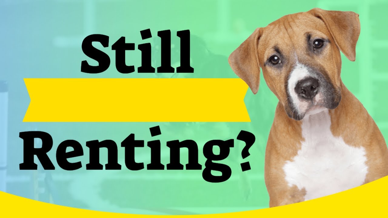 Still Renting Pros And Cons Of Renting Vs Buying Why Should You