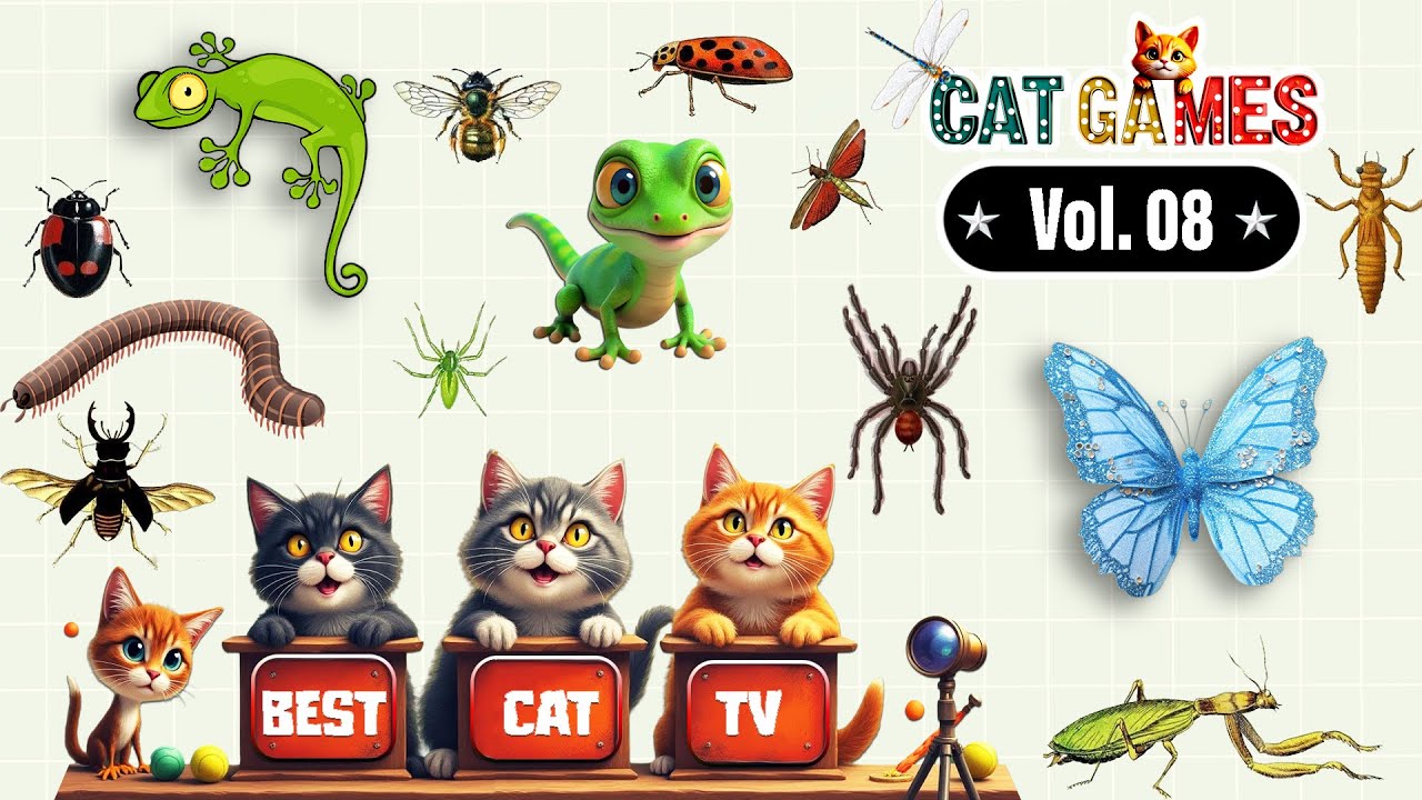 Cat Games 😺 Ultimate Bug & Butterfly Chase 🦋🐞🦗 Best Video for Cats ...