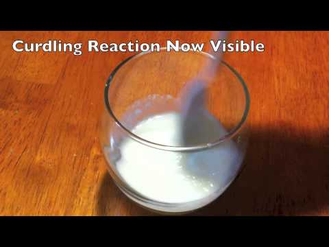 Citric Acid Plus Milk Reaction - YouTube